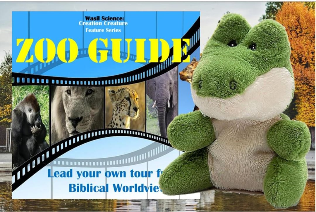 Zoo Guide & Gator Buddy Bundle - Etsy