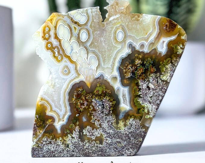 NEWLY DISCOVERED Ternate Moss Agate Slab, Scenic Moss Agate Slice ...