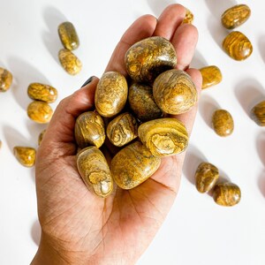 Large Tumbled Picture Jasper, Grounding & Protection, Pocket Crystal ...