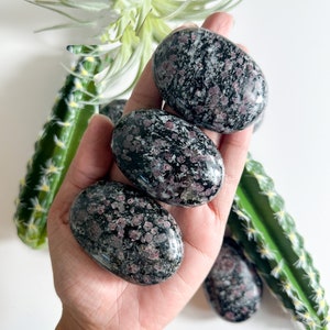 Spinel in Biotite Palm Stone, Manifestation Crystal, Spinel Palm Stones ...