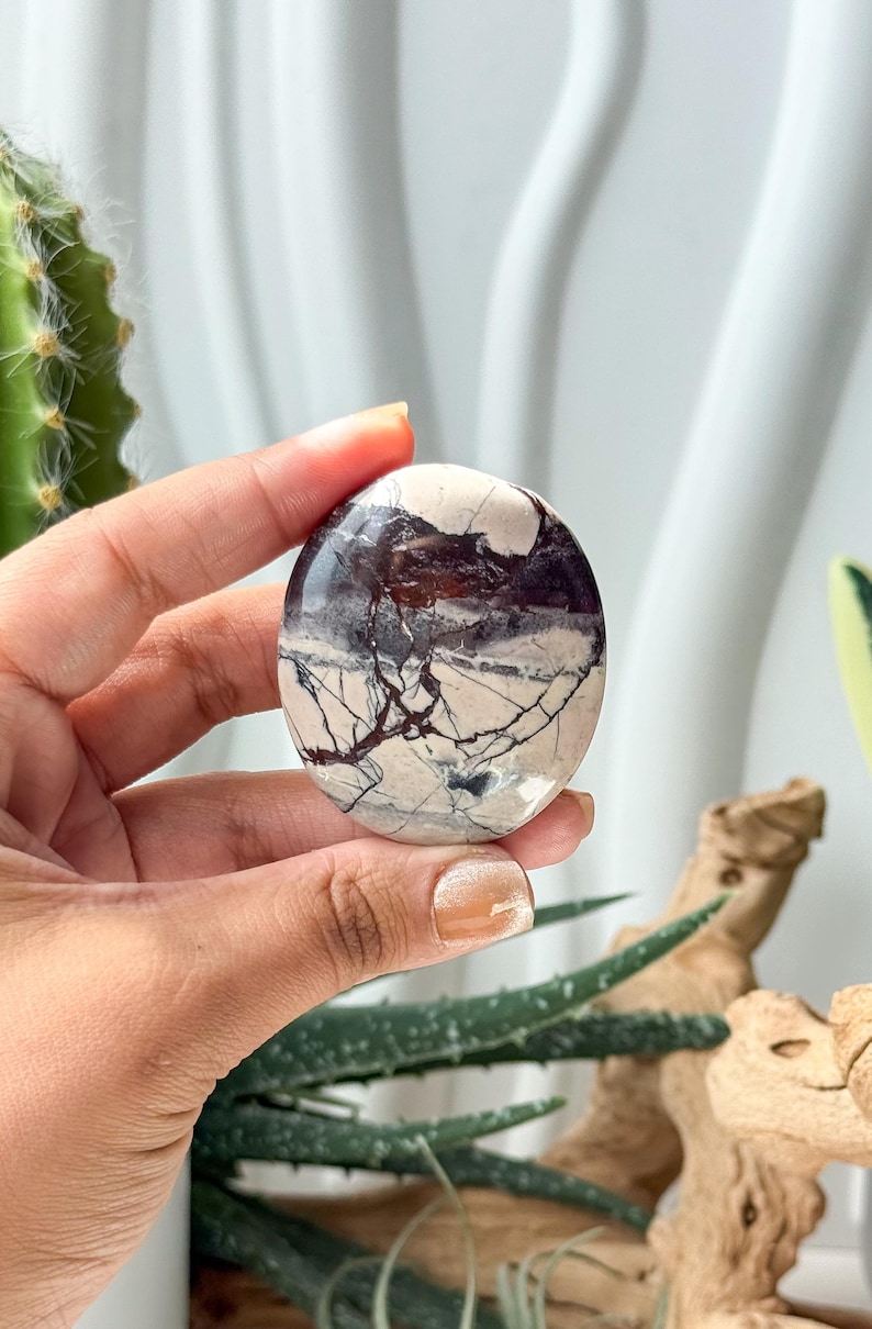 Porcelain Jasper Palm Stone: Exotica Sci-fi Jasper From Mexico - Etsy