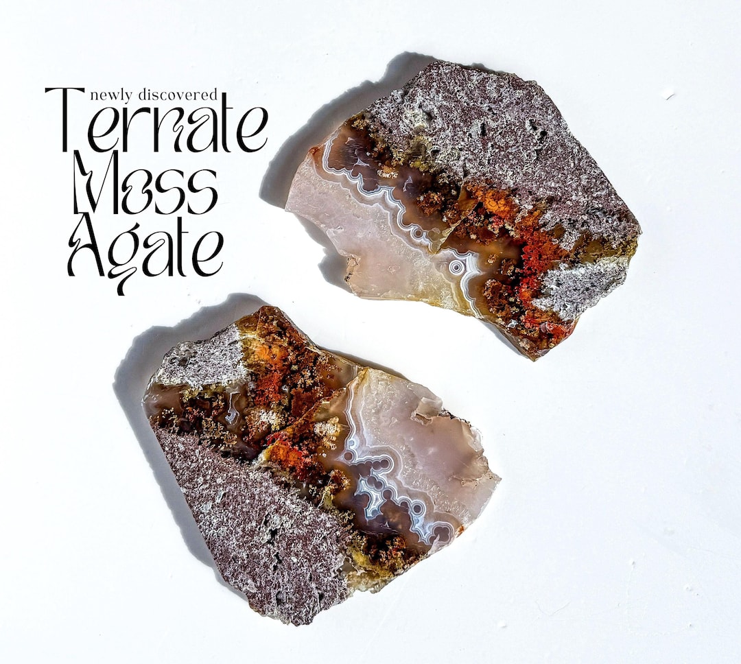 Newly Discovered Ternate Moss Agate Slabs, You Choose, Scenic Moss ...