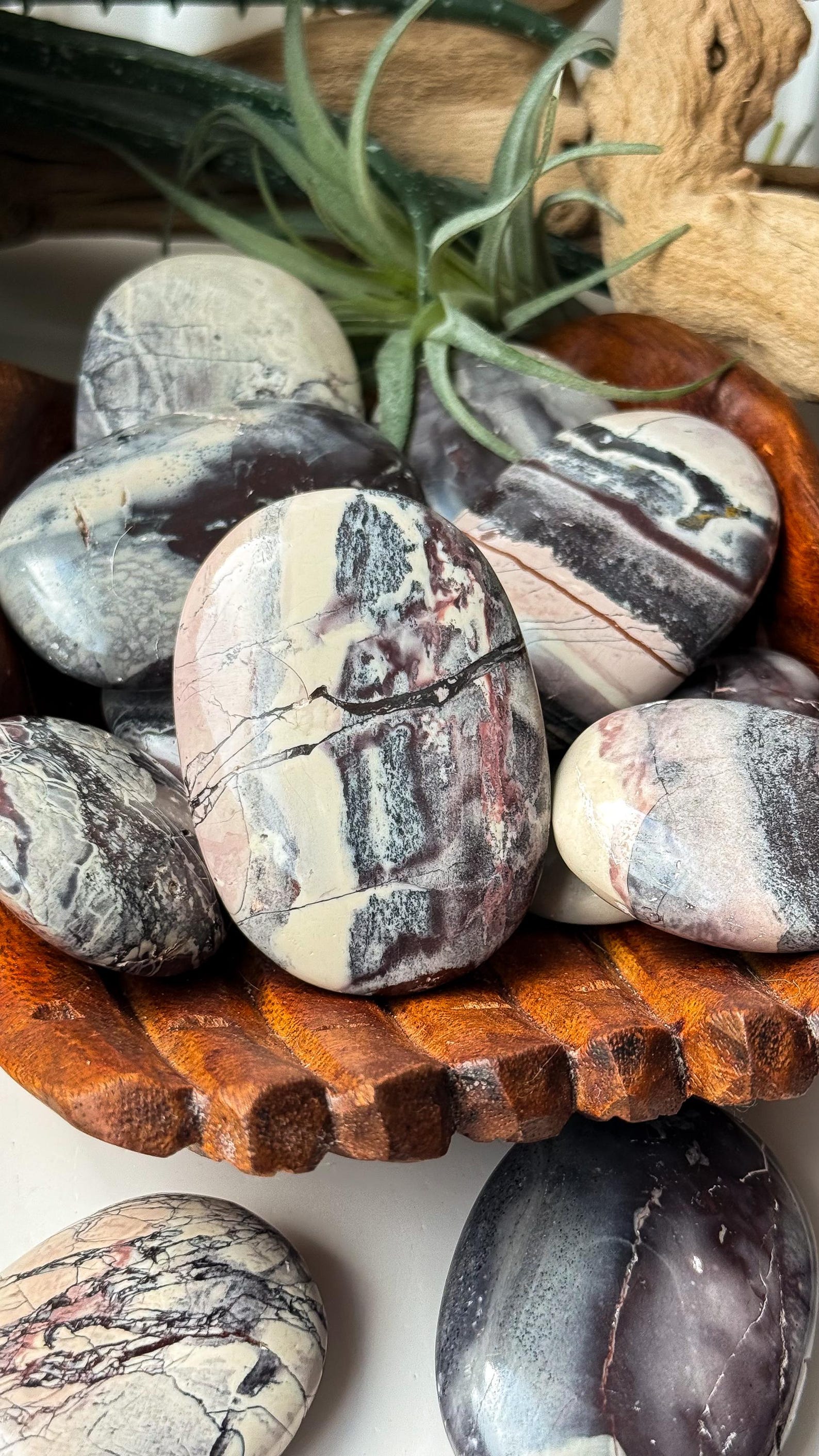 Porcelain Jasper Palm Stone: Exotica Sci-fi Jasper From Mexico - Etsy