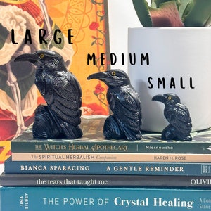 Black Onyx Crows From Peru, Onyx Ravens, THREE SIZES, Hecate Crystal ...