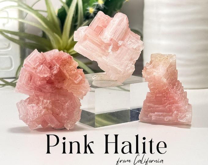 Medium Pink Halite Specimens / You Pick! Choose Your Own Halite Crystal ...