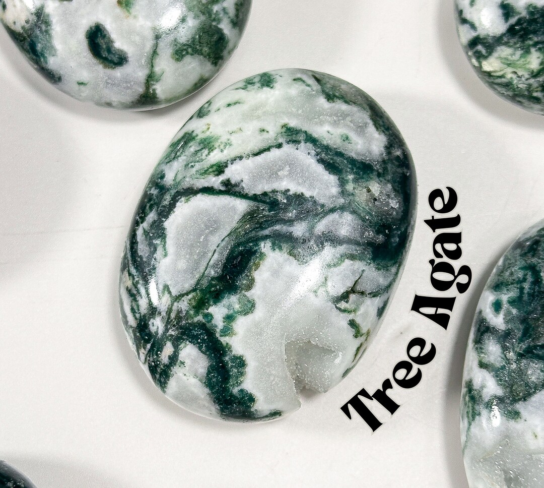 Tree Agate Palm Stones, Connect to Nature, Tree Agate, Polished Tree ...