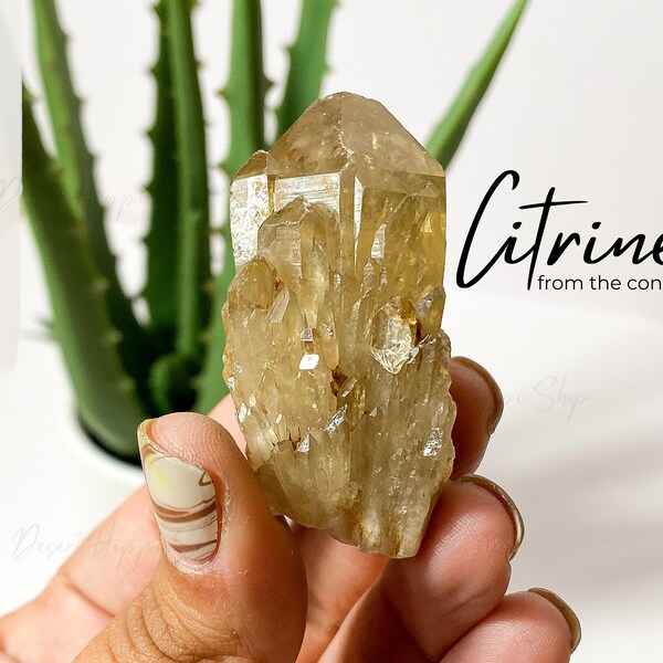 Congo Citrine - Etsy