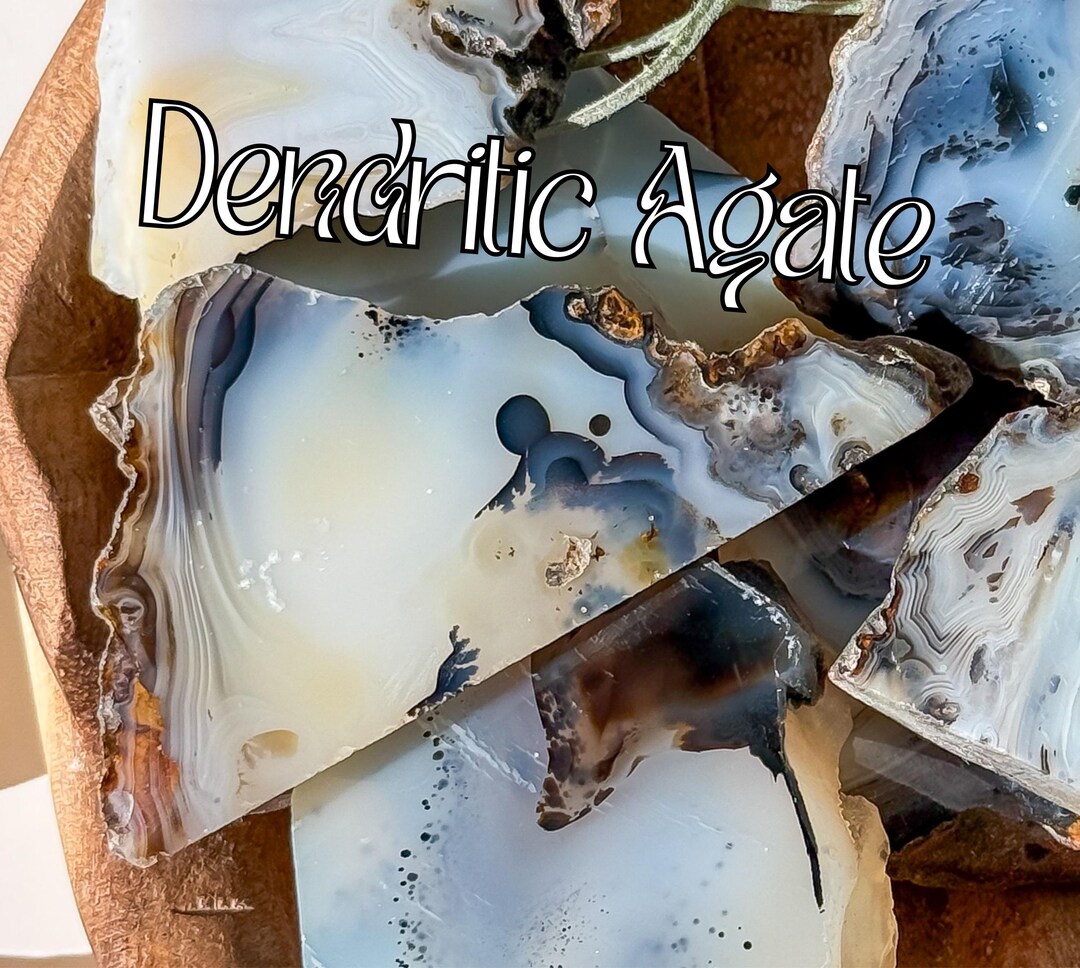 Dendritic Agate Polished Slabs, Dendritic Agate Slices. Dendritic Agate ...