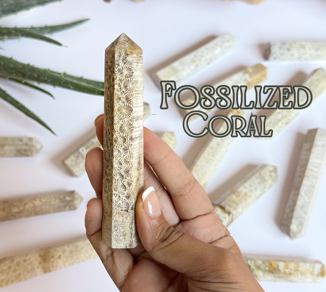 Fossilized Agatized Coral Tower: Root Chakra Grounding Stone - Etsy