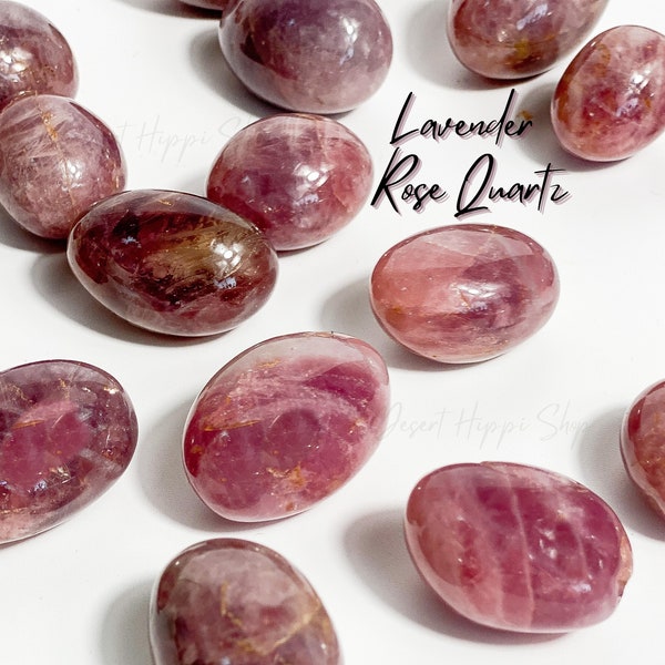 Lavender Purple Rose - Etsy