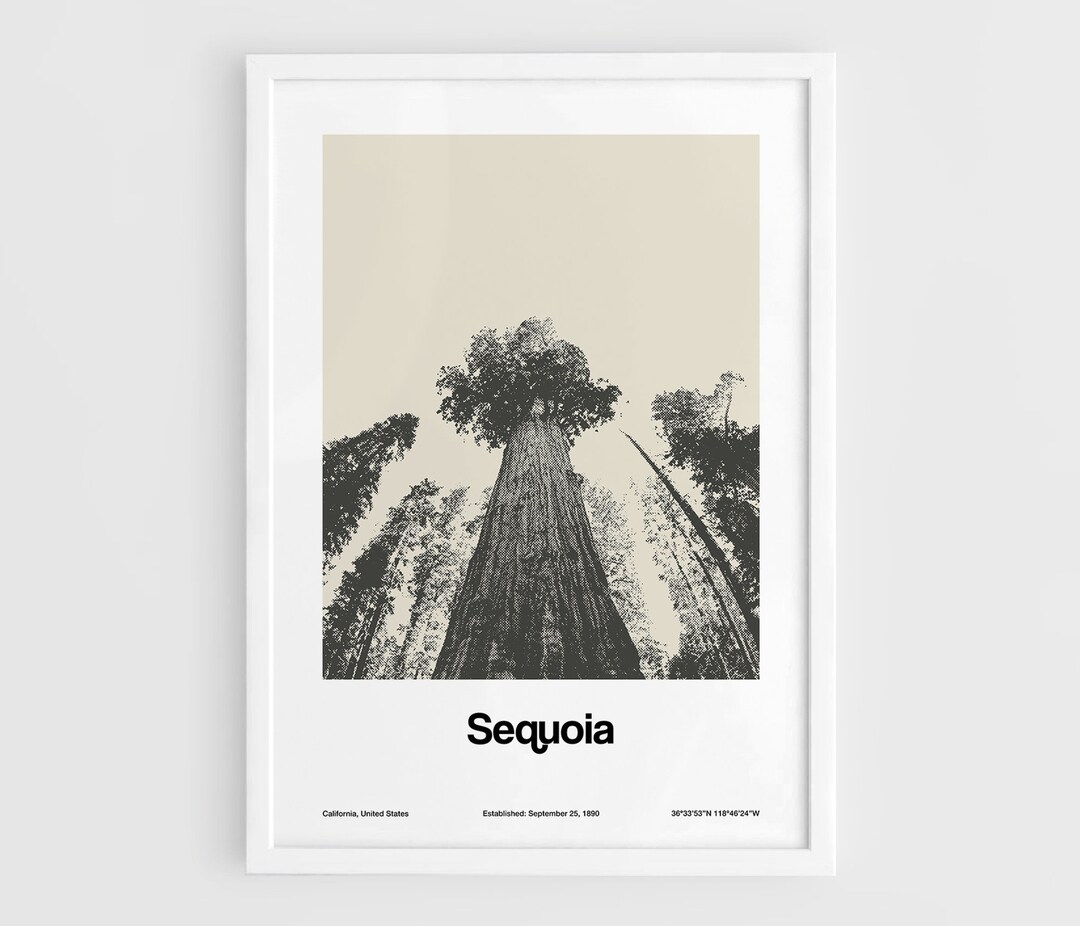 Sequoia National Park Poster, Sequoia in Giant Forest of Sequoia ...
