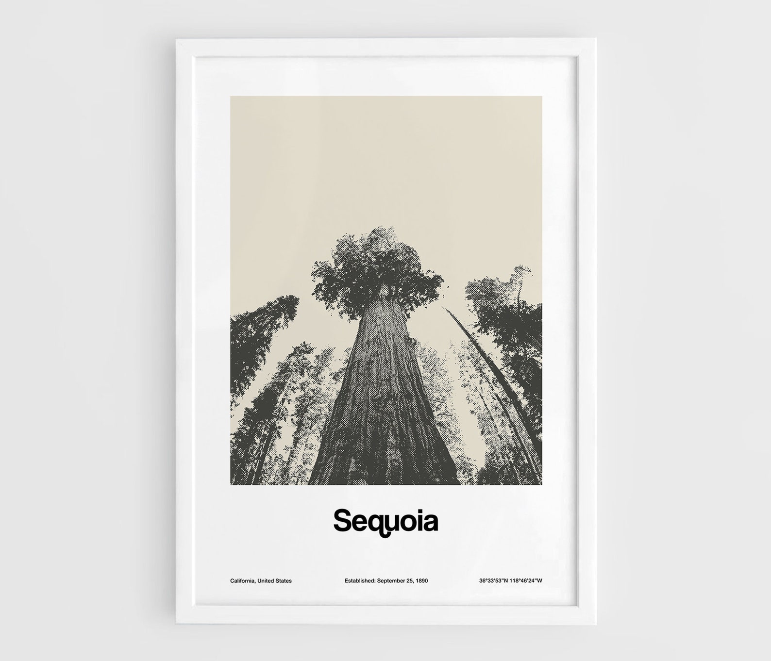Sequoia National Park Poster, Sequoia in Giant Forest of Sequoia ...