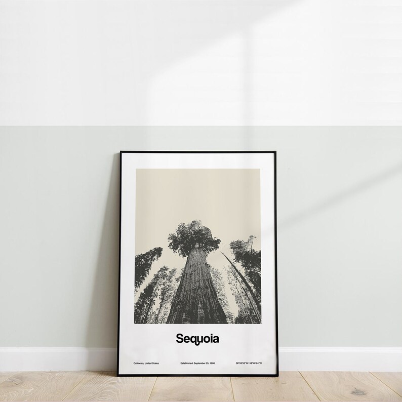 Sequoia National Park Poster, Sequoia in Giant Forest of Sequoia ...