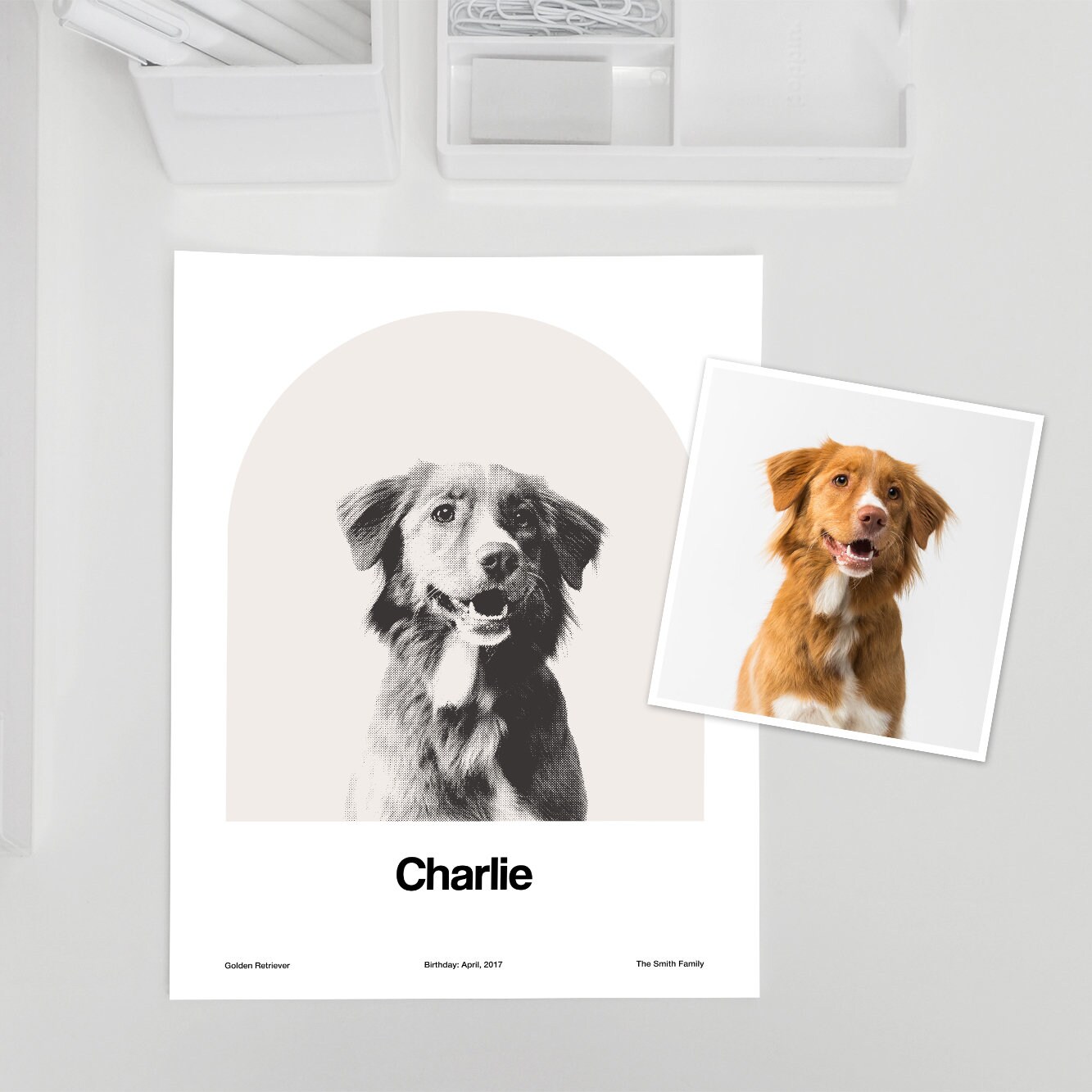 Pet Portrait Custom and Personalized Pet Portrait From Photo | Etsy