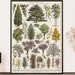 Ornamental Trees Poster Print, Trees Vintage Art Print, Vintage Floral ...
