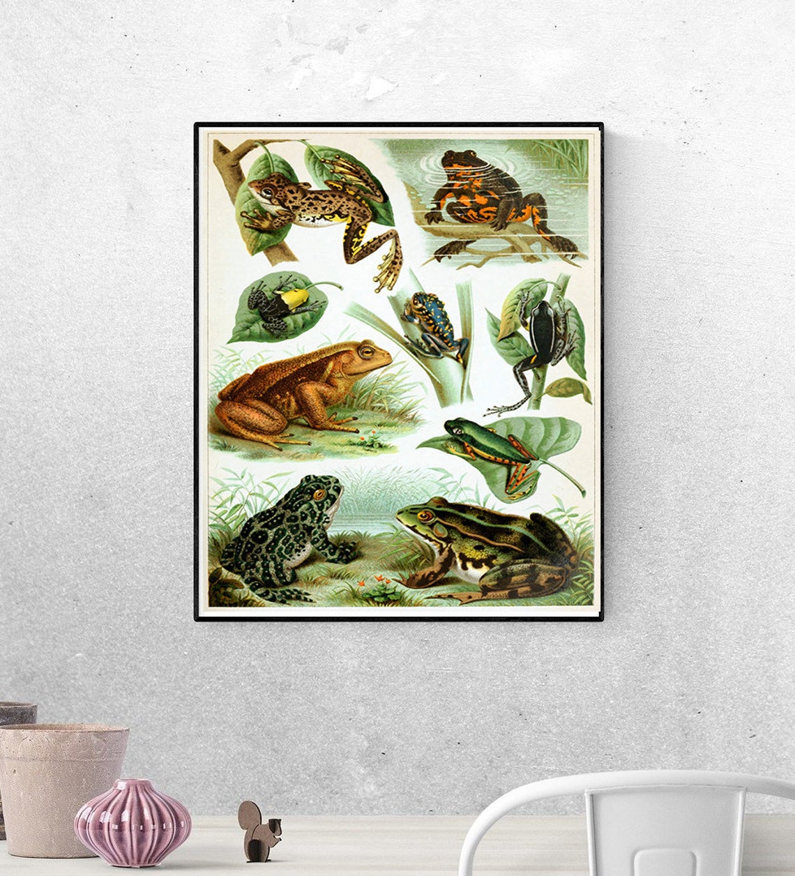 Frog Vintage Illustration Poster Print Vintage Frog Print | Etsy