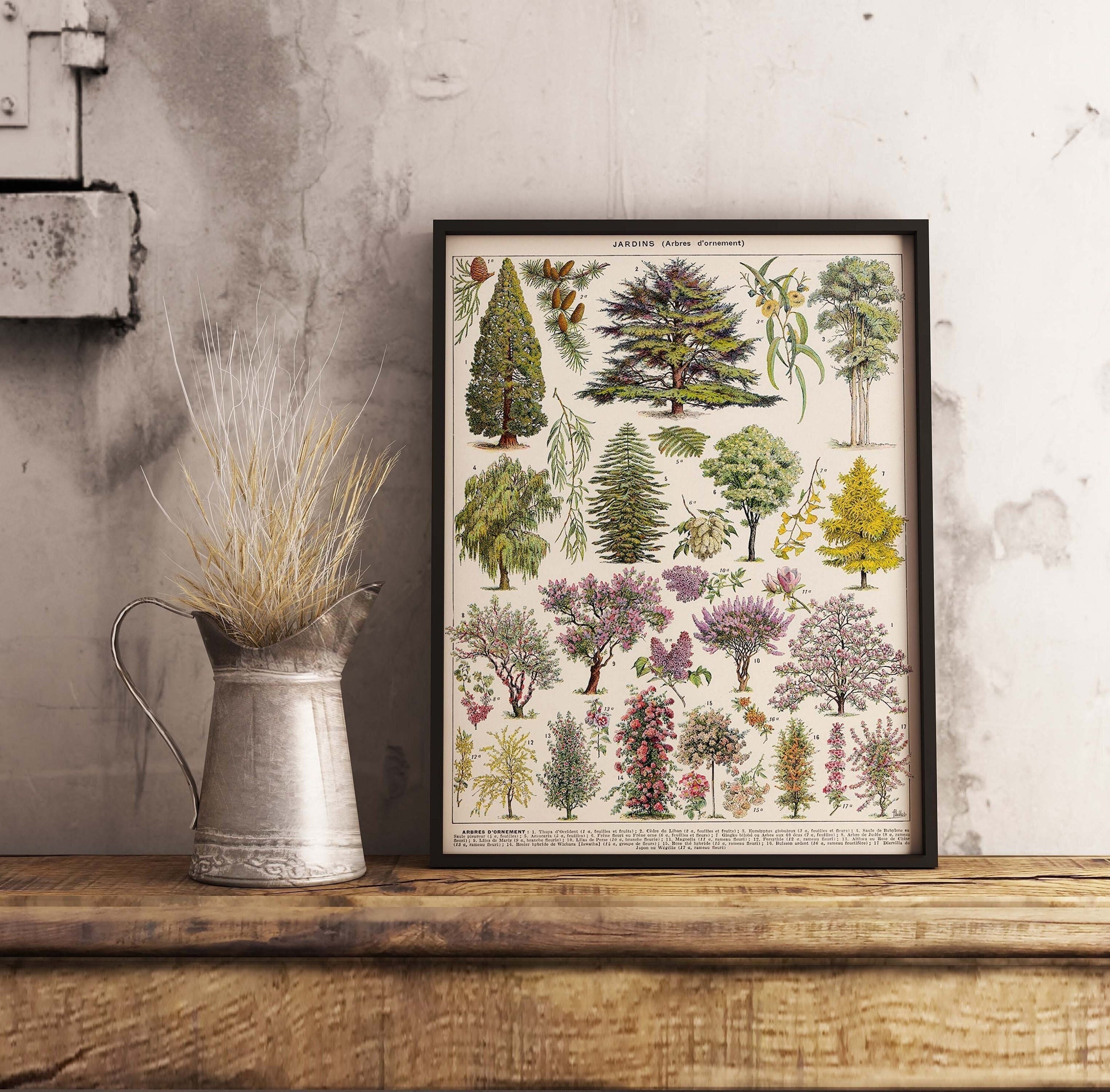 Ornamental Trees Poster Print Trees Vintage Art Print - Etsy UK
