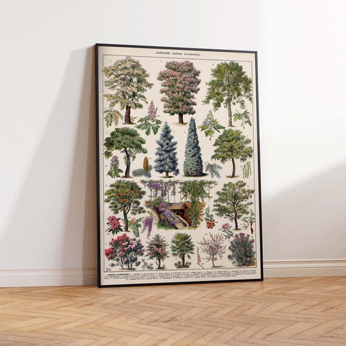 Ornamental Trees Poster Print Trees Vintage Art Print - Etsy UK