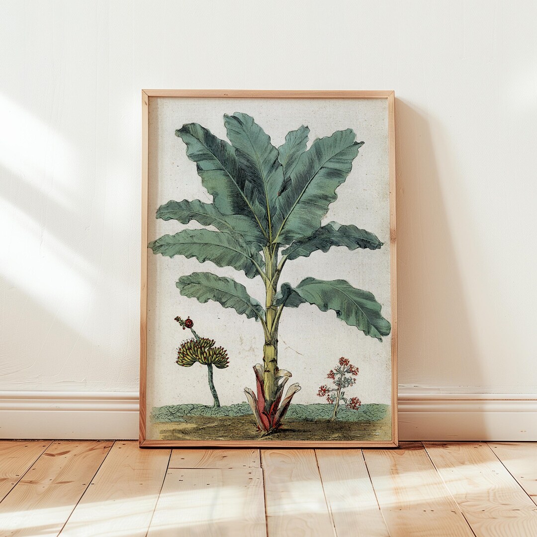 Banana Tree Poster | Vintage Botanical Illustration | Green Tropical ...