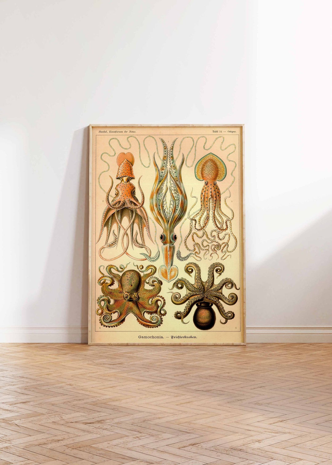 Vintage Octopus Art Print Octopus Poster Sea Life Art Vintage Octopus ...