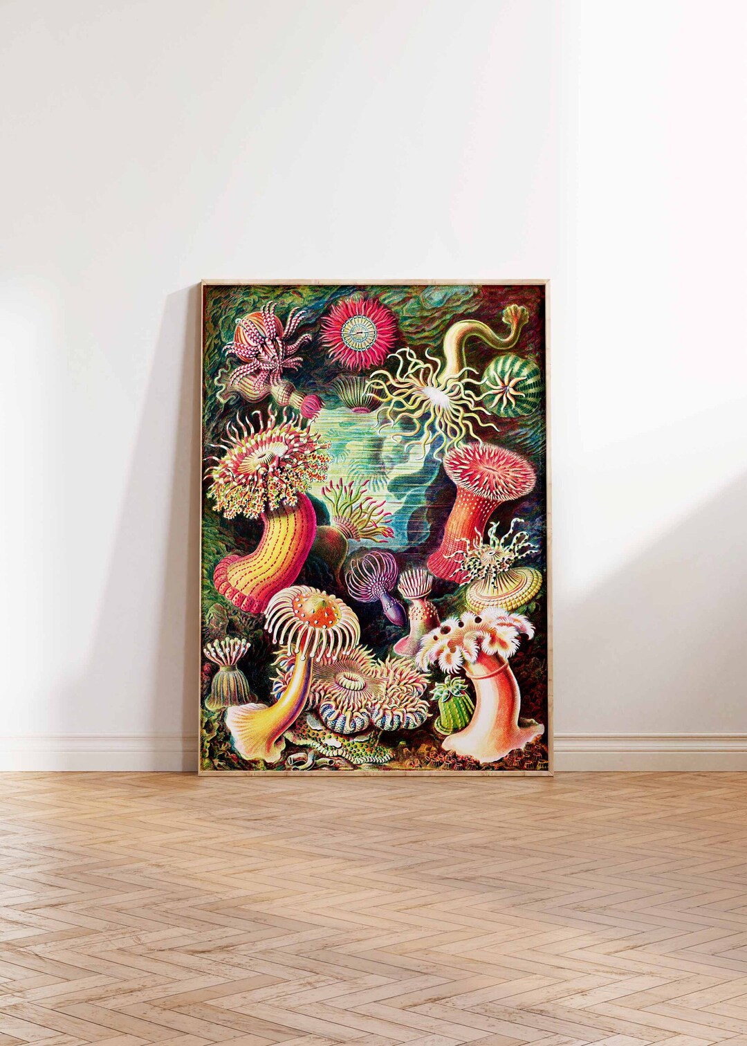 Vintage Sea Fruit Anemone of the Sea Actiniae Art Print Sea Fruit ...