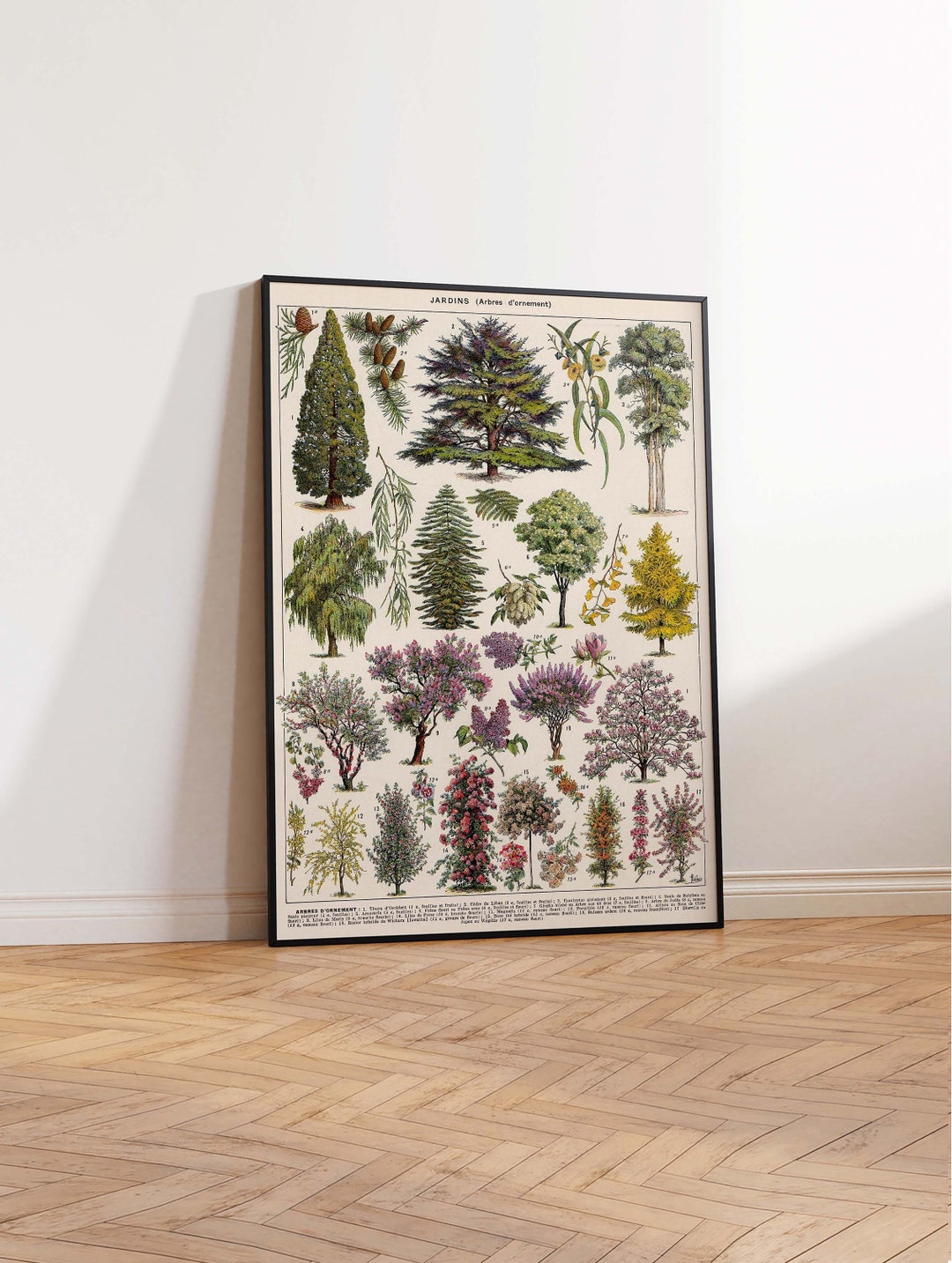 Ornamental Trees Poster Print Trees Vintage Art Print - Etsy UK