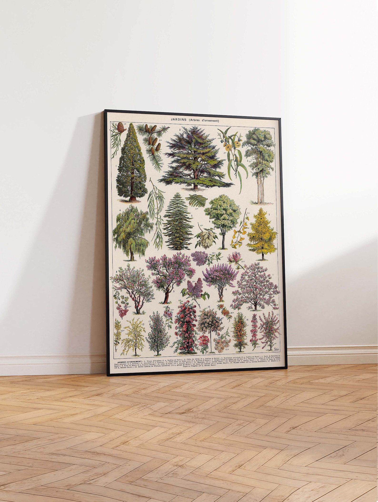 Ornamental Trees Poster Print Trees Vintage Art Print - Etsy UK