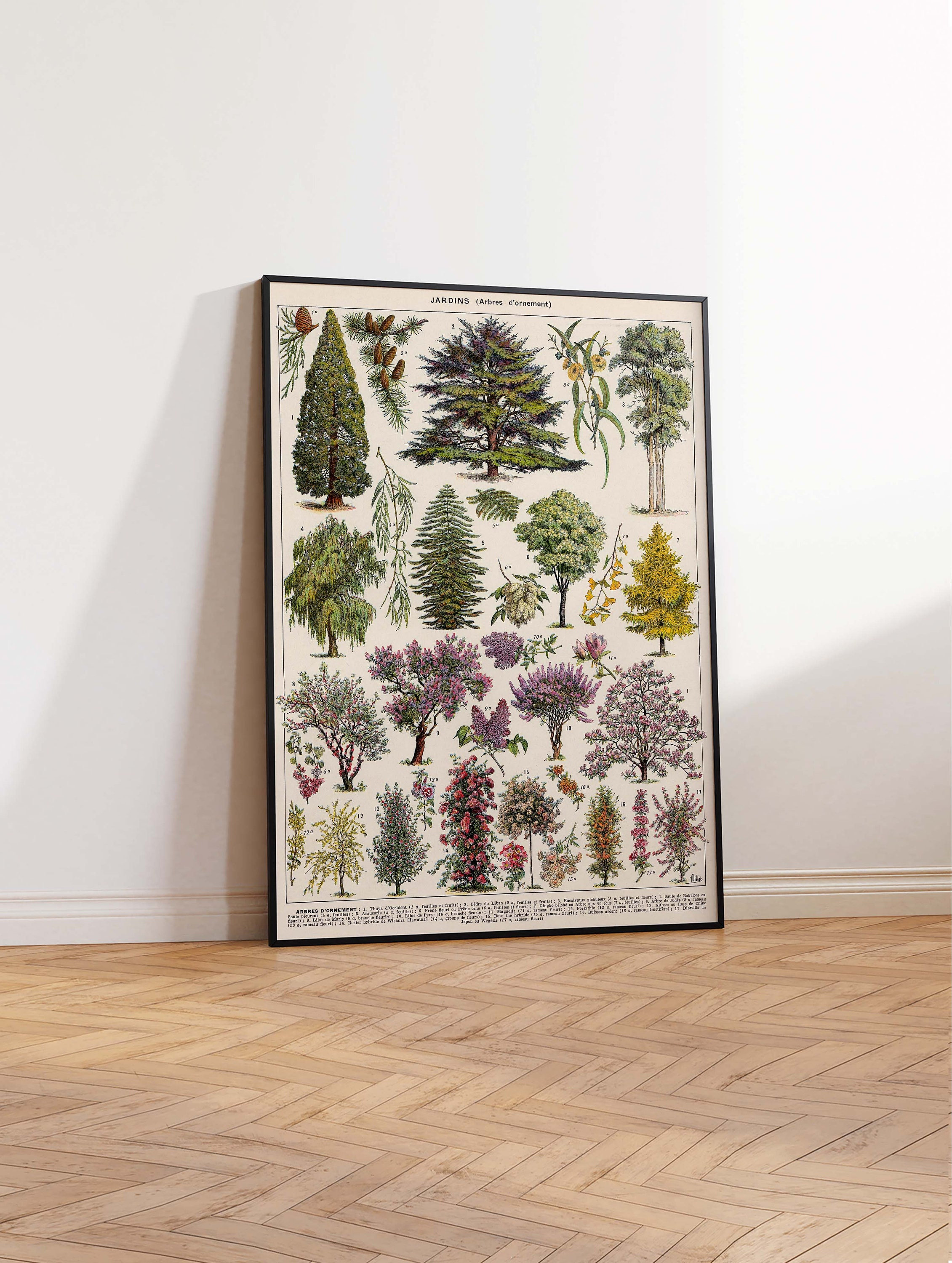 Ornamental Trees Poster Print Trees Vintage Art Print - Etsy UK