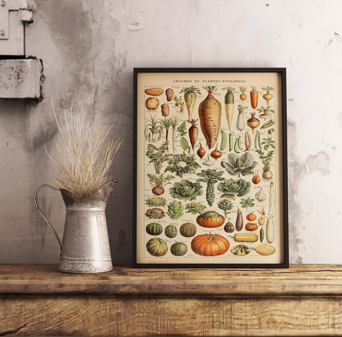 Vegetable Legumes Wall Chart Adolphe Millot Vegetables - Etsy