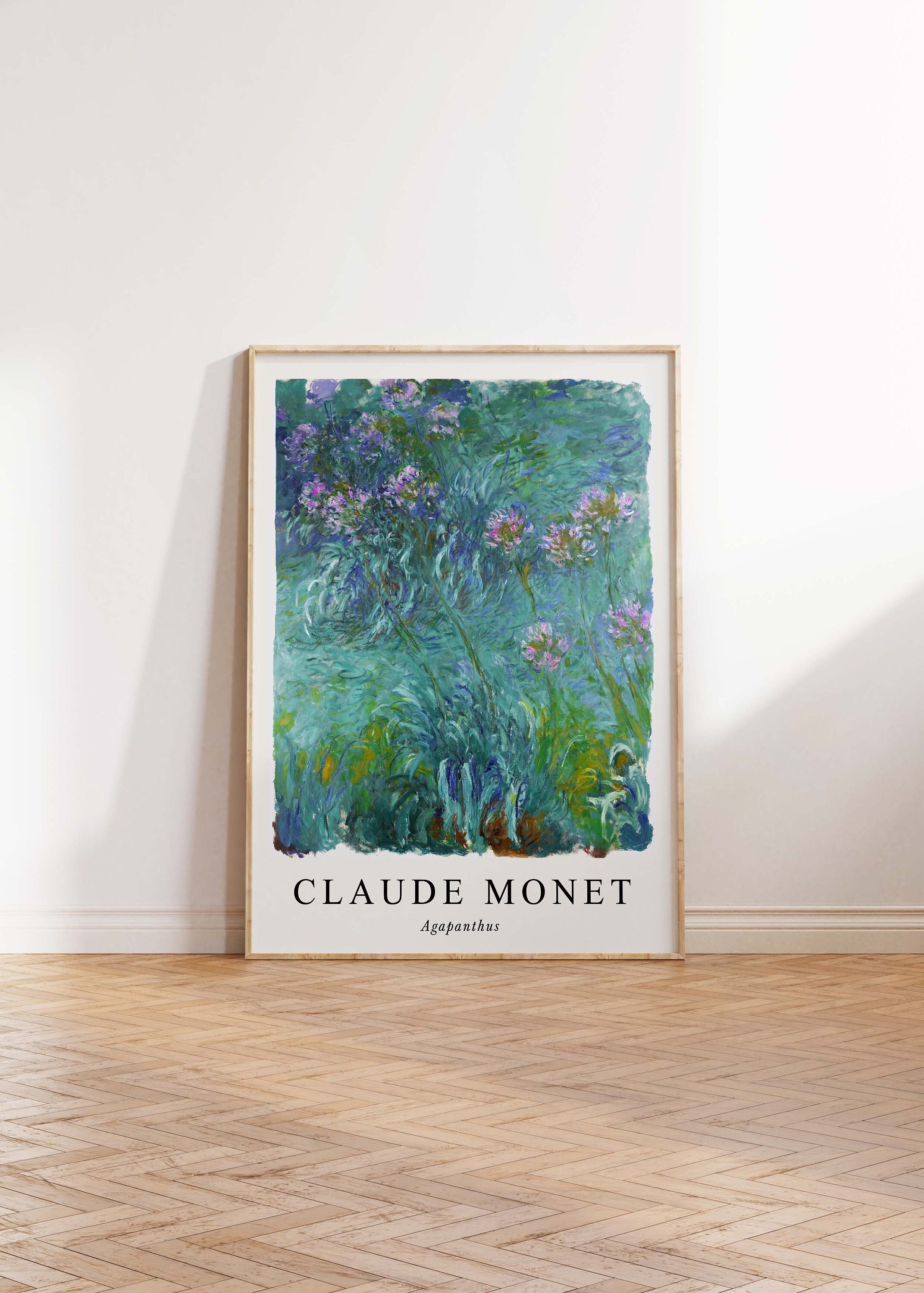 Agapanthus Claude Monet