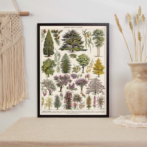 Ornamental Trees Poster Print, Trees Vintage Art Print, Vintage Floral ...