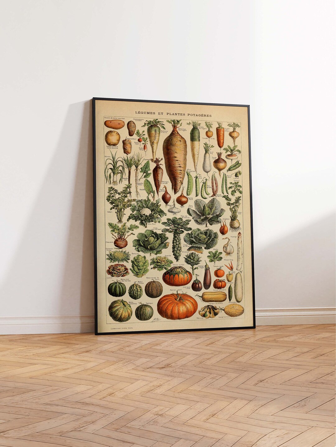 Vegetable Legumes Wall Chart, Adolphe Millot Vegetables, Millot Kitchen ...