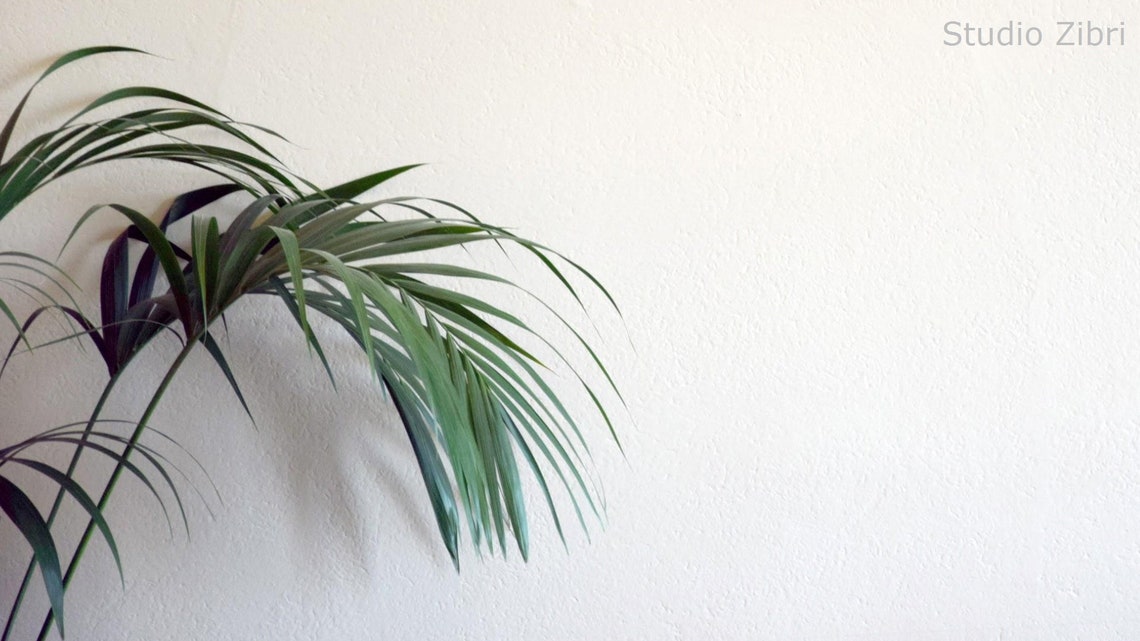 Semplice wall zoom Sfondo Office Pack I per riunioni virtuali, Sfondo ...