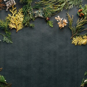 Chalkboard Zoom Background Pack for Teachers and Virtual Classroom ...