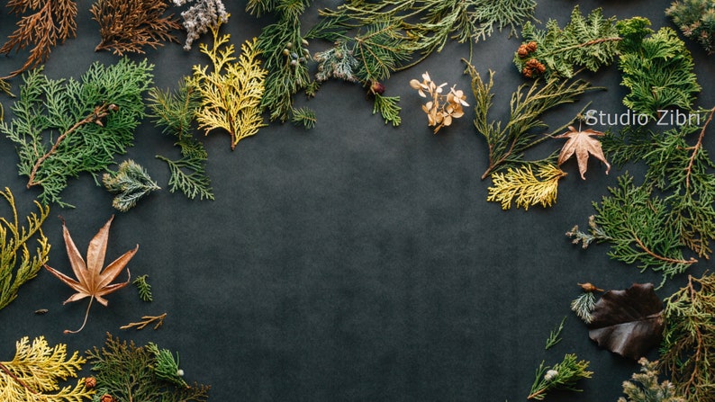 Chalkboard Zoom Background Pack for Teachers and Virtual Classroom ...