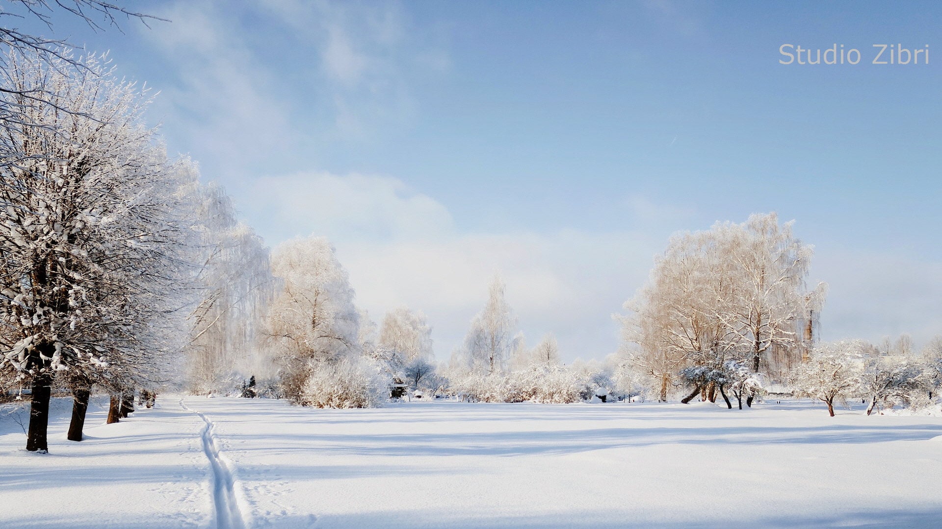 Winter Zoom Background Pack, Instant Download, Virtual Backgrounds ...