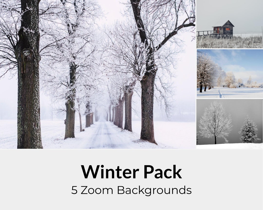 Winter Zoom Background Pack Instant Download Virtual - Etsy Canada