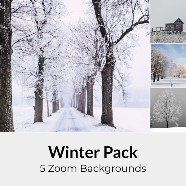 Winter Zoom Backdrop - Etsy