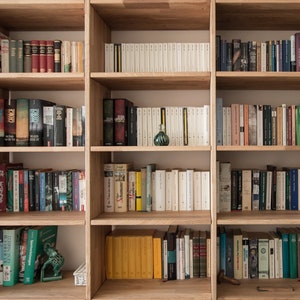 Library Room Zoom Background Pack, Instant Download, Virtual Background ...