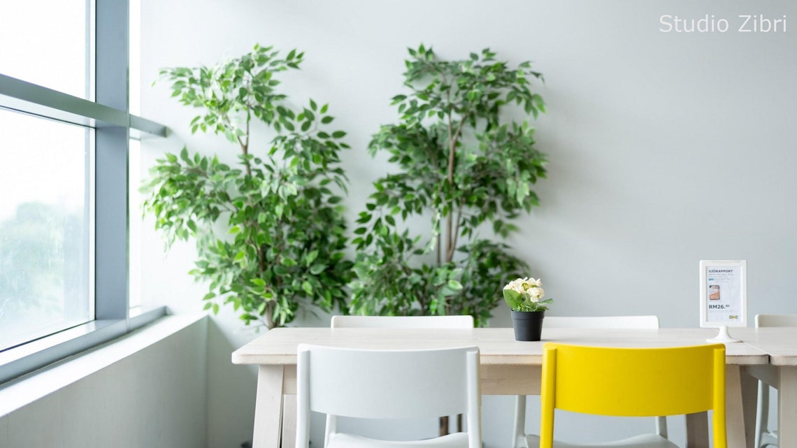 Semplice wall zoom Sfondo Office Pack I per riunioni virtuali, Sfondo ...