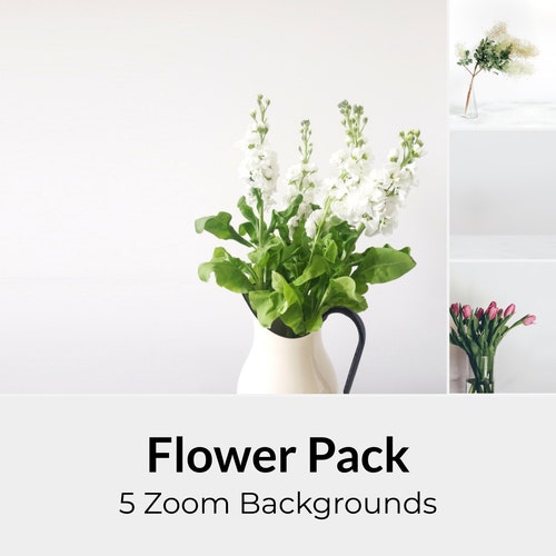 Flower Wall Zoom Background Office Pack II for Virtual - Etsy Canada