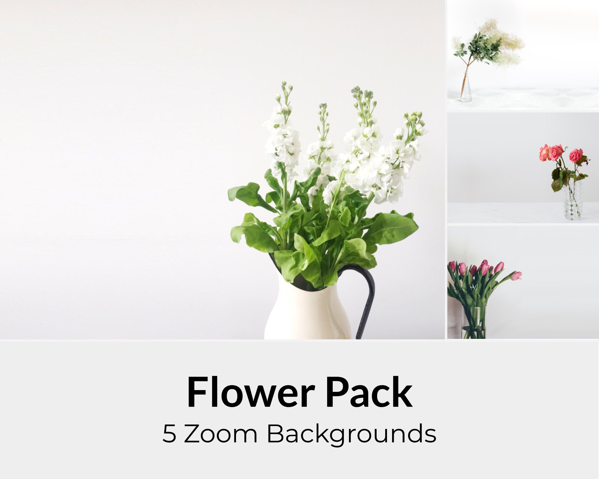 Flower Wall Zoom Background Office Pack II for Virtual Meetings ...