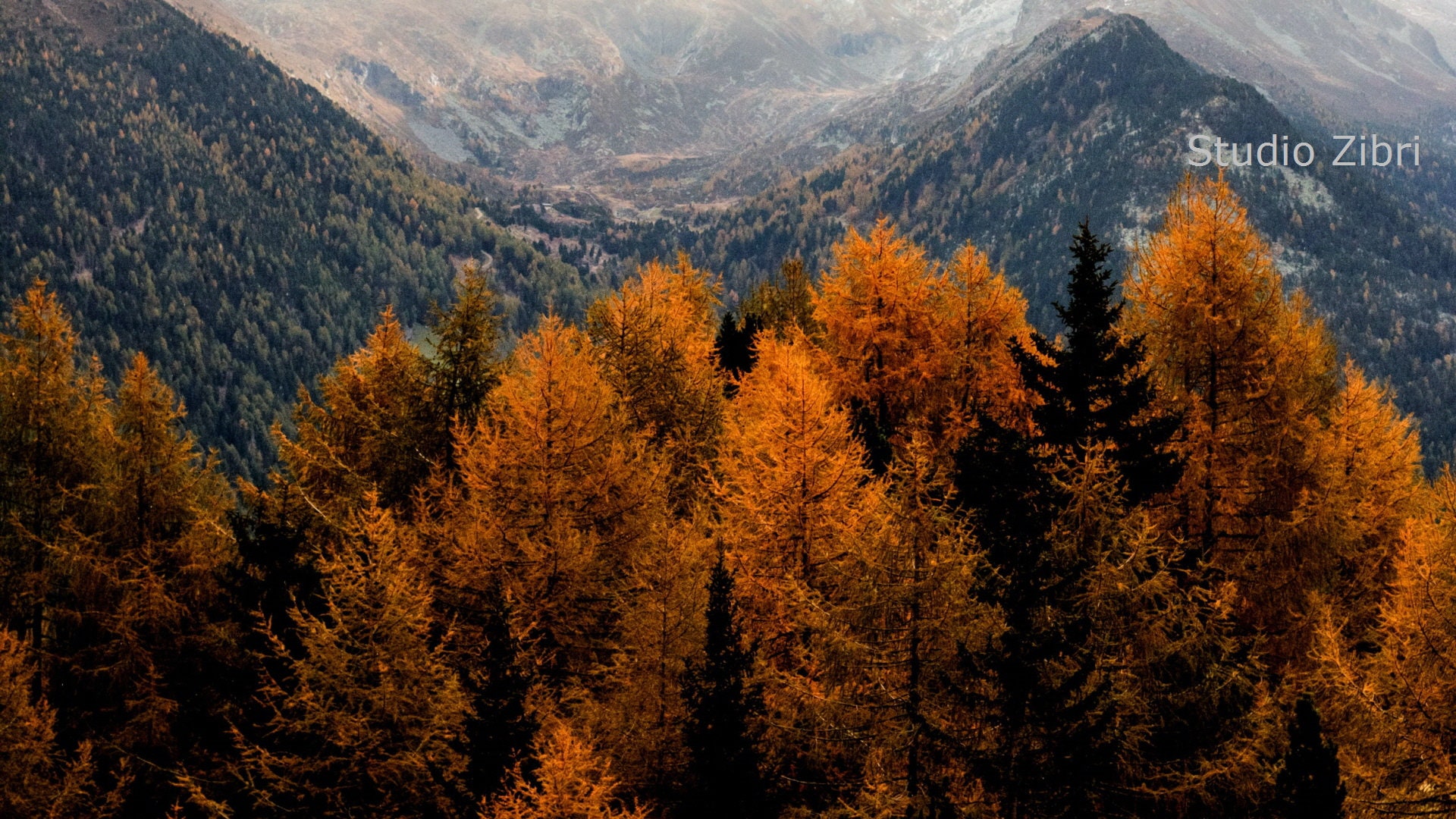 Autumn Zoom Background Pack, Instant Download, Virtual Backgrounds ...