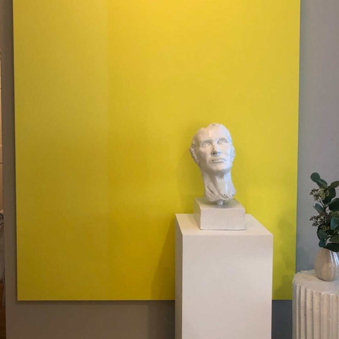 Art Display Pedestal: Modern Plinth Stand for Weddings & Photography ...