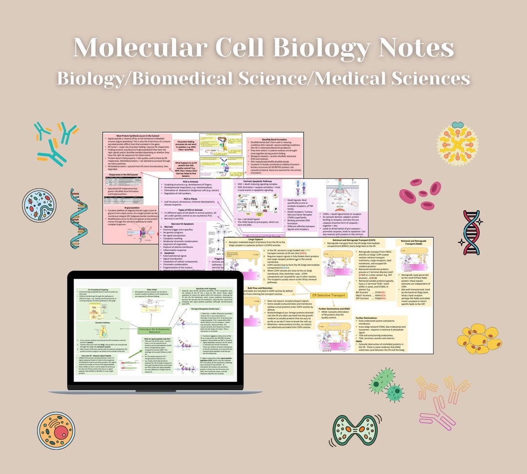 Molecular Cell Biology Notes: Biomedical & Cytoskeleton (PDF) - Etsy