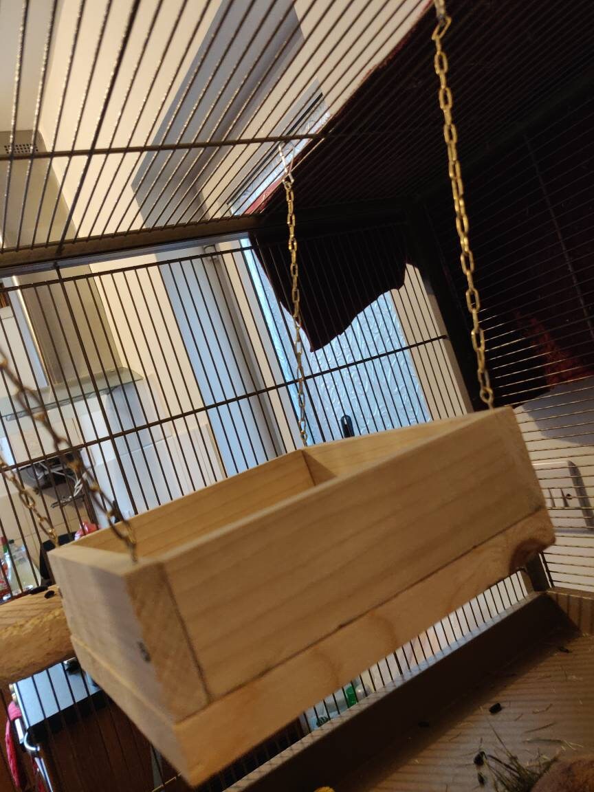 Wooden Swing for small animals including chinchillas rats | Etsy