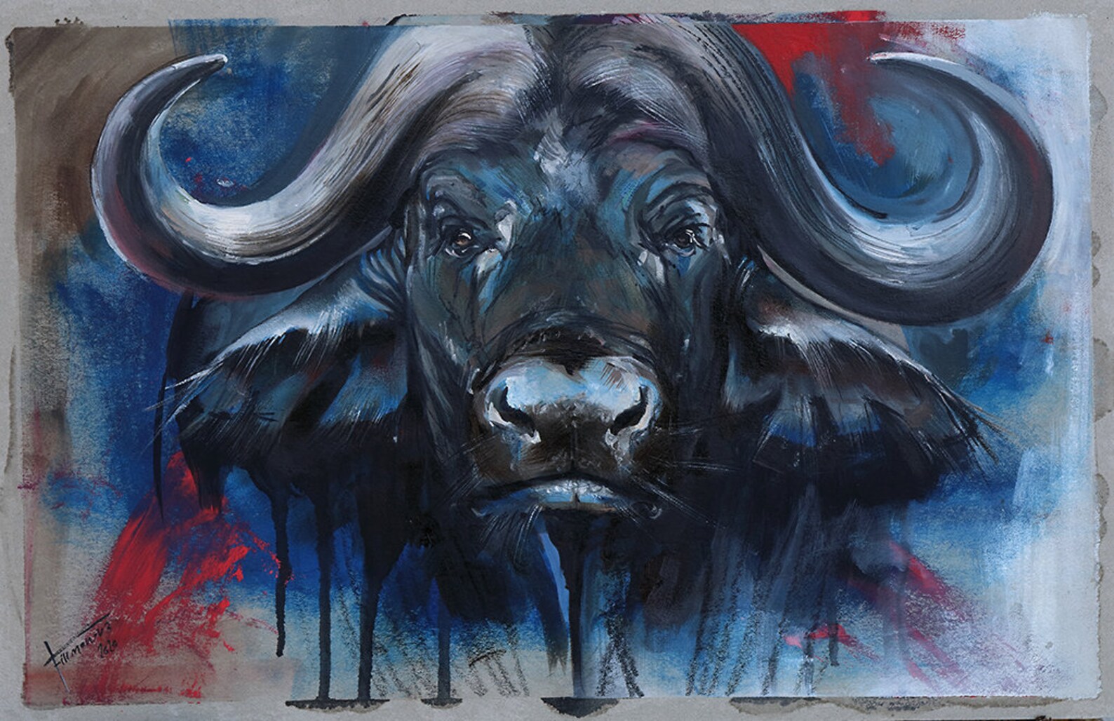 Printable Wall Art AFRICAN BUFFALO, Syncerus Caffer,art,study of ...