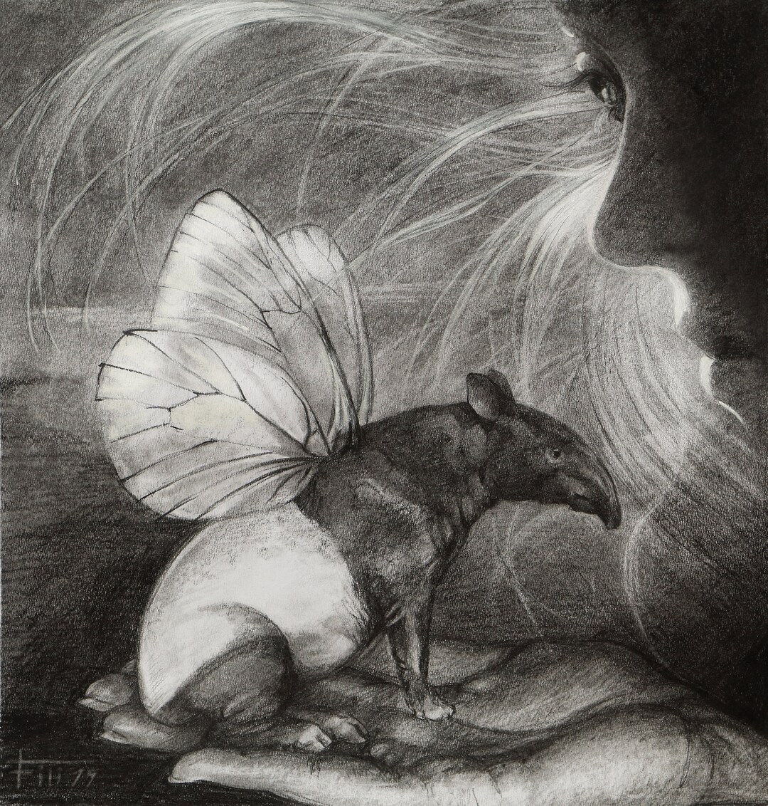 Printable Wall Art of Flying Tapir From Pencildrawing, Monochromatic ...