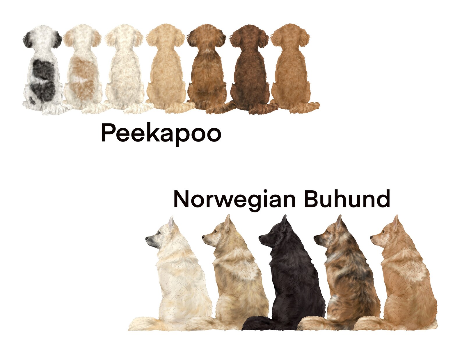 Back View Dog Clipart. Dogs From Behind Png. Dog Breeds Illustration ...