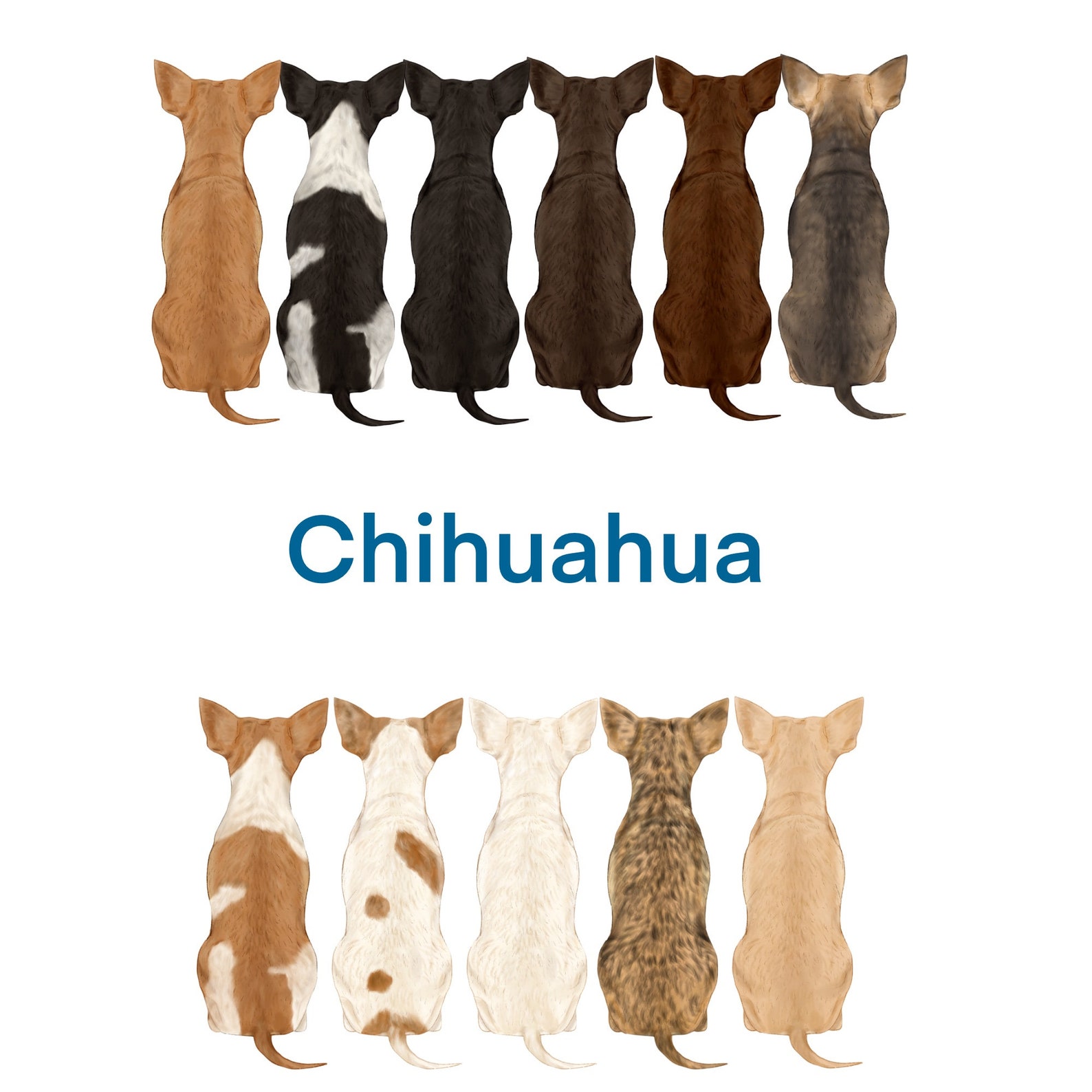 Small Dog Clipart. Dogs From Back View. Customizable Dog Graphics. Dog ...